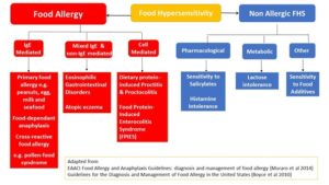 Food Allergy - BSACI
