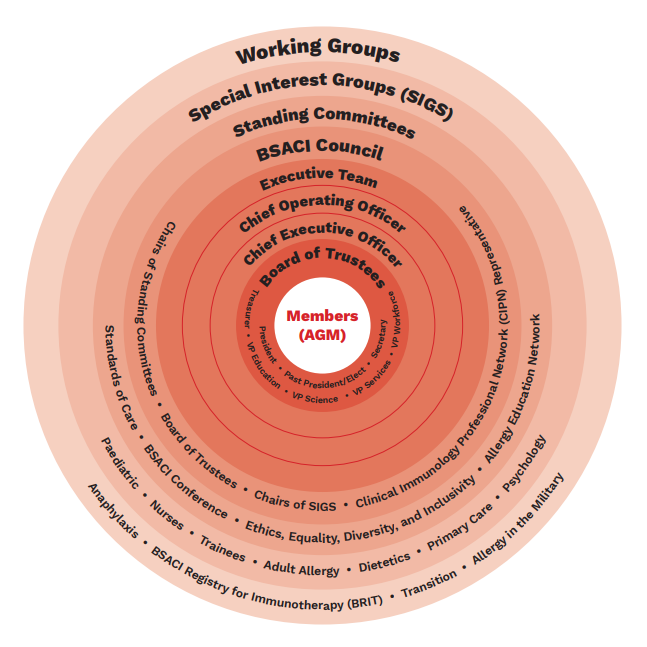Who is BSACI? - BSACI